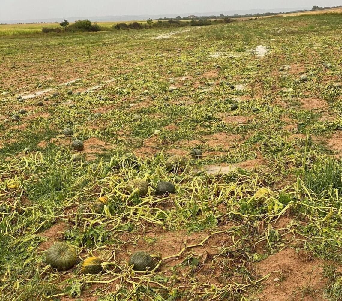 Breshri “sakaton” kulturat bujqësore - Meteo Ballkan