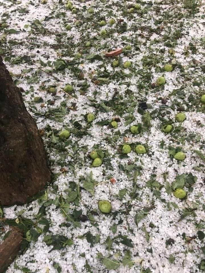 Breshri “sakaton” kulturat bujqësore - Meteo Ballkan