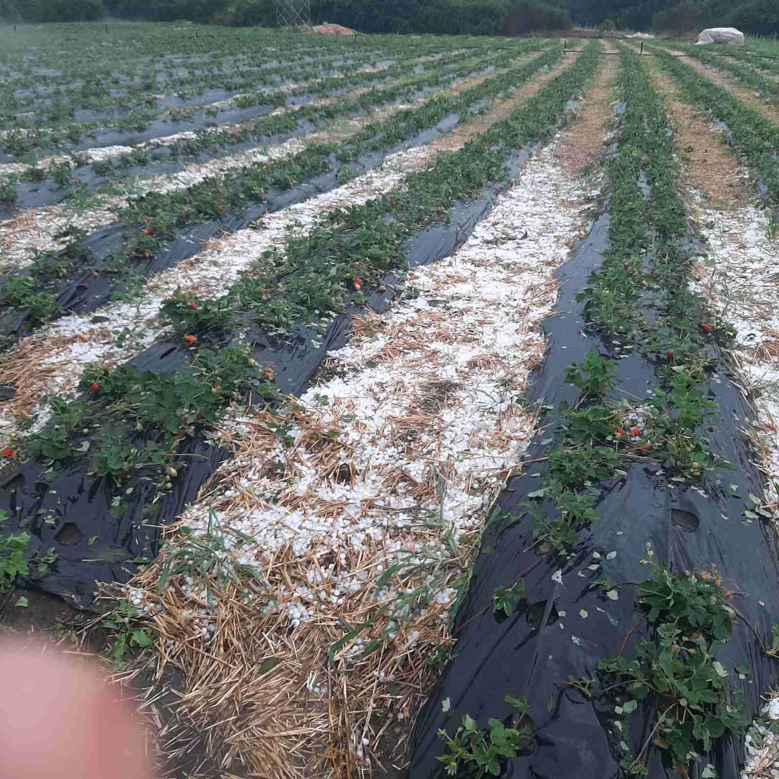 Breshri dëmton dredhëzat në Klinë të Epërme të Skenderajt! - Meteo Ballkan